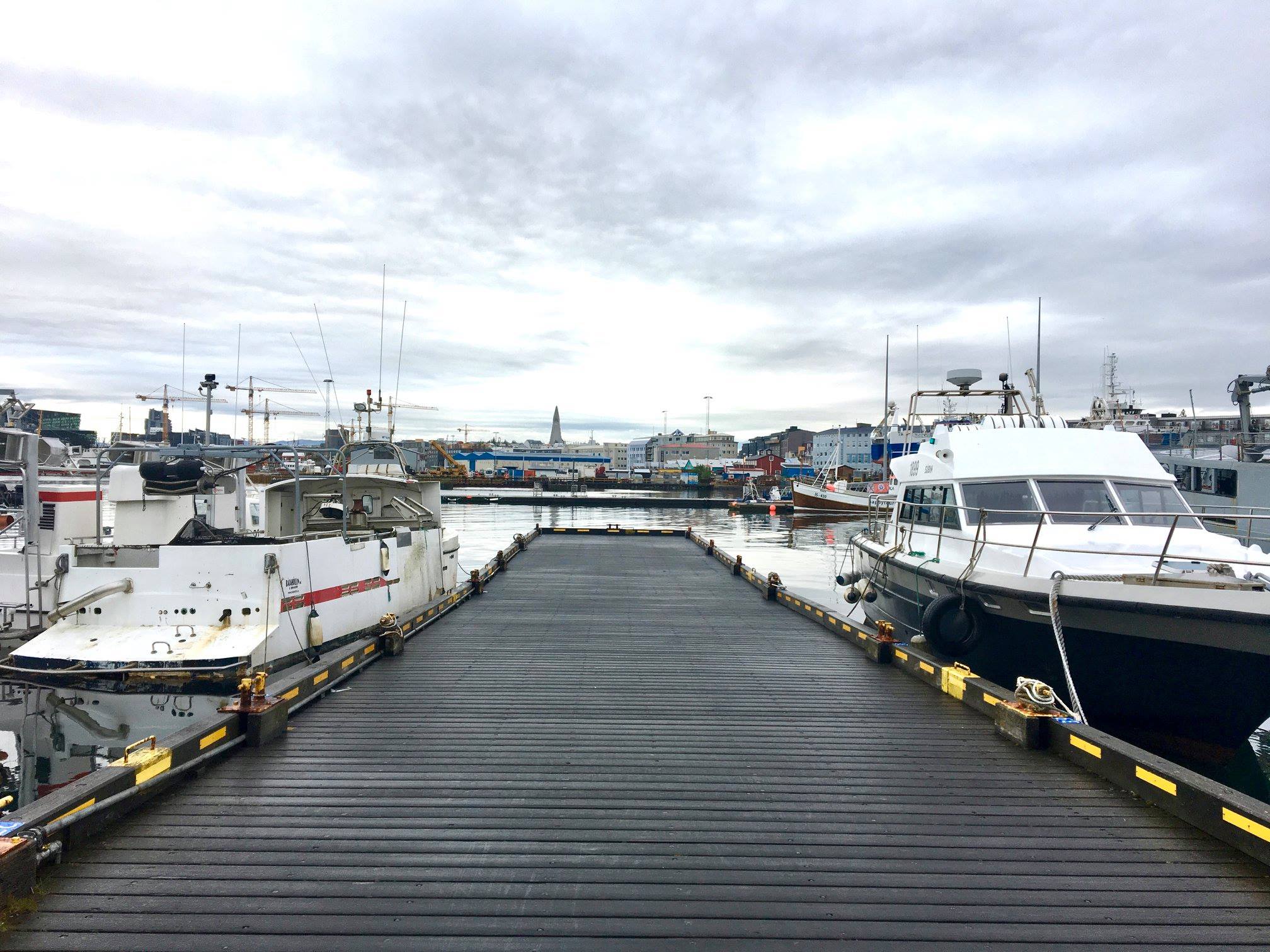 Iceland – Bethany Roisland